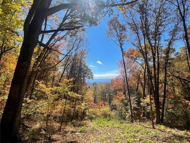 0 New Sprout Ln, Unit 1, Hendersonville, NC 28792 | MLS #4310