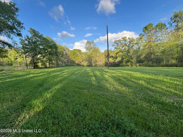 0 Newman Rd, Edwards, MS 39066 | MLS #4144 | Compass