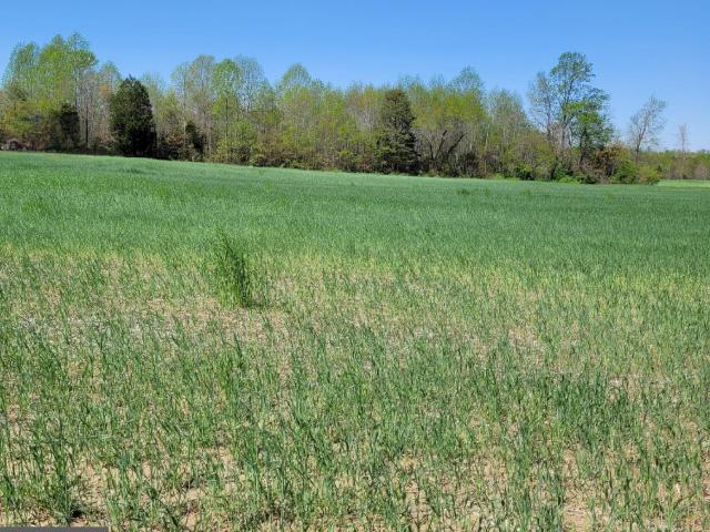0 Newmans Neck Rd, Heathsville, VA 22473 | MLS #VANV2001