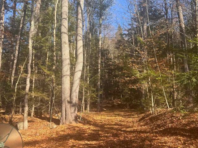 0 Newbury Rd, Unit 4764, Bradford, NH 03221 | MLS #5071 | Compass