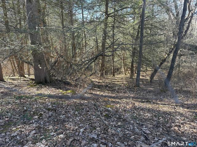 0 Newcomb Rd, Litchfield, CT 06759 | MLS #24164