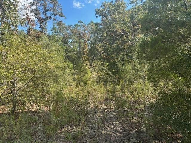 0 Nezperce Dr, Alford, FL 32420 | MLS #F10521