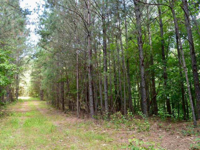 0 Nickelsville Rd, Ranger, GA 30734 | MLS #20148 | Compass