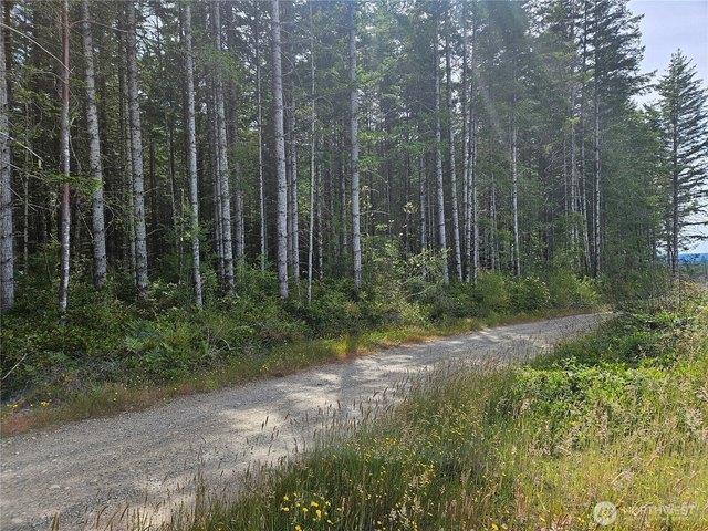 0 Nka L Lee Valley Rd, Quilcene, WA 98376