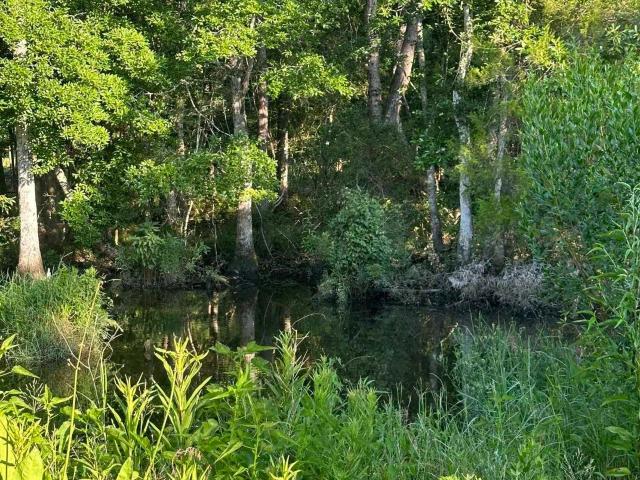 0 Nolte Creek Drive