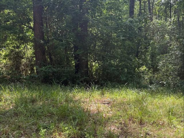0 Non Such Rd, Livingston, TX 77351 | MLS #10053 | Compass