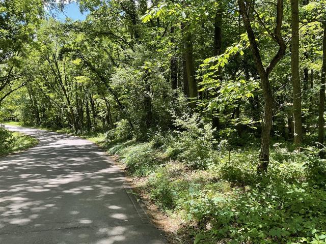 0 North Drive