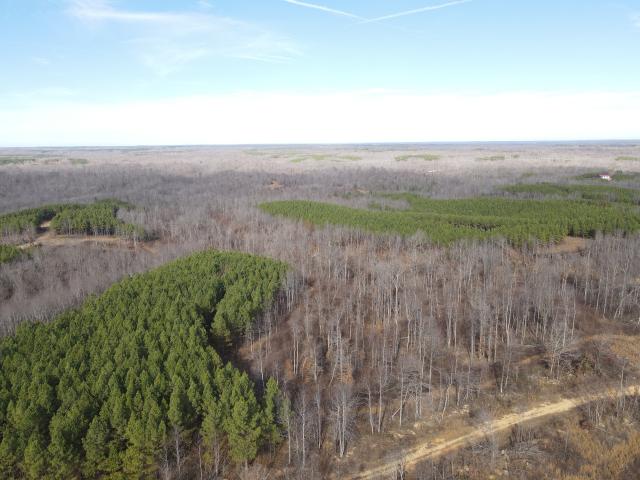 0 North Fork