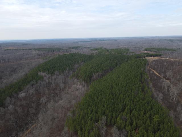 0 North Fork