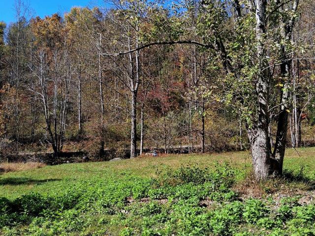 0 North Fork