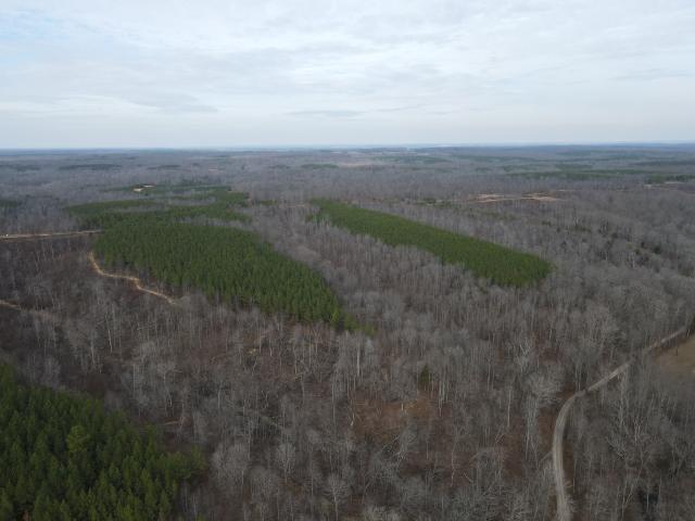 0 North Fork