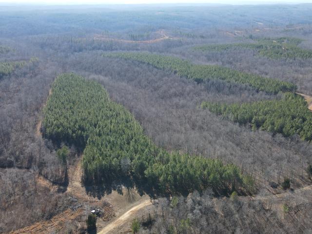 0 North Fork