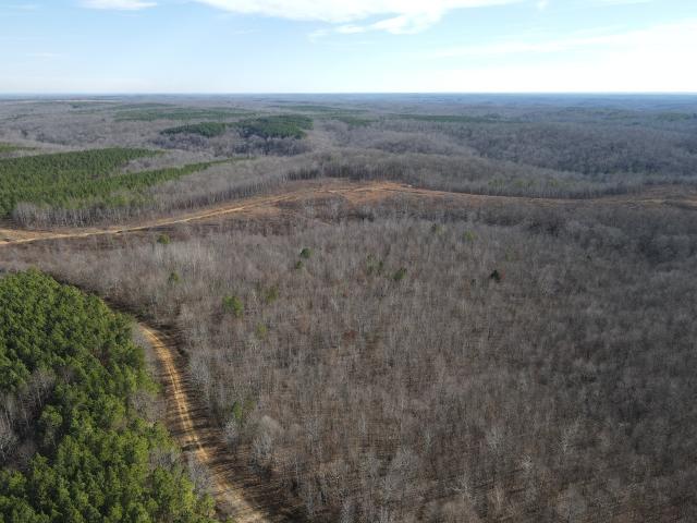 0 North Fork
