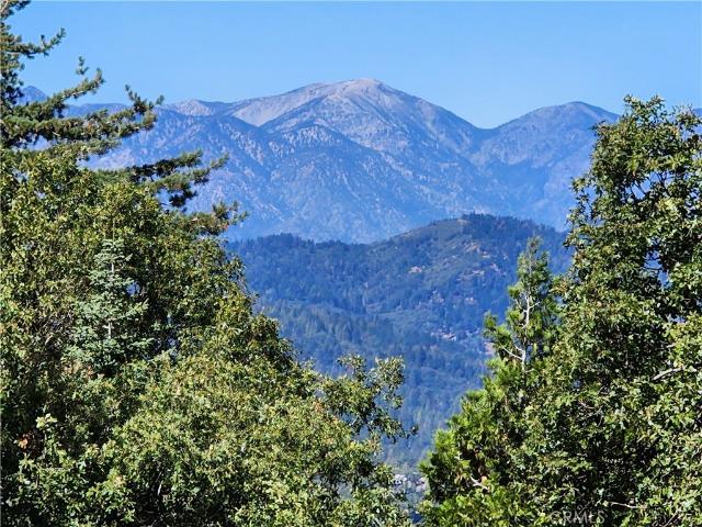 0 North Rd, Twin Peaks, CA 92391 | MLS #RW24084