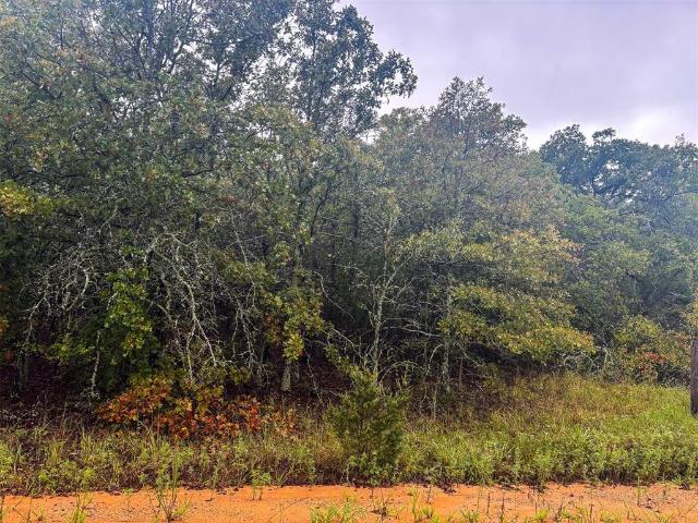 0 NS 365 Road
