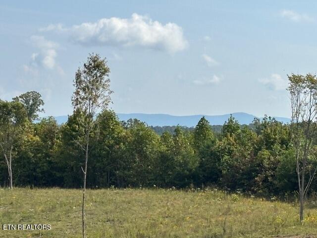 0 Otis Davis Rd, Pikeville, TN 37367 | MLS #3035