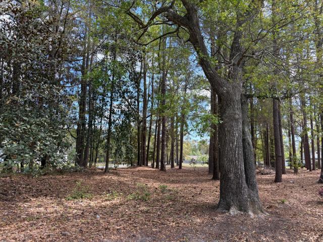 0 Otis Rd. Longleaf Drive