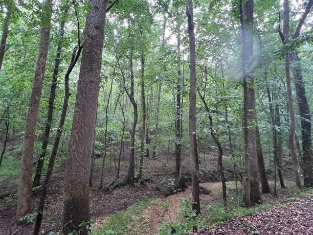 0 Ottos Pond Rd