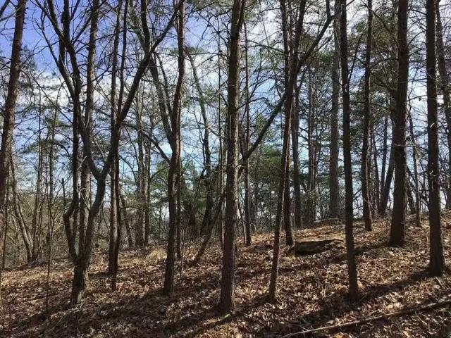 0 Outback Rd, Jasper, GA 30143 MLS 7386904