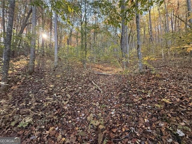 0 Ov Justus Rd, Rabun Gap, GA 30568 | MLS #10504 | Compass