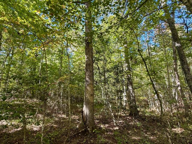 0 Owl Hollow Road