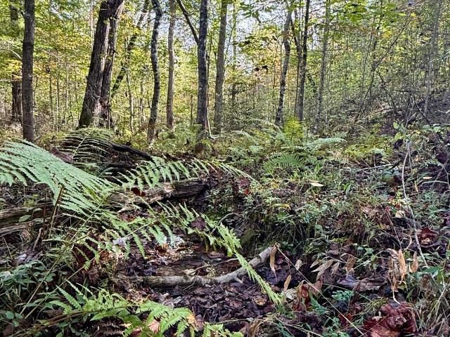 0 Owl Hollow Road