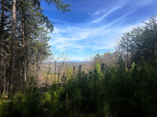 0 Owl Hollow Road SW