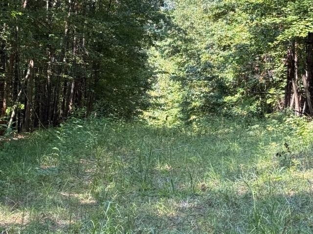0 Oak Valley Drive