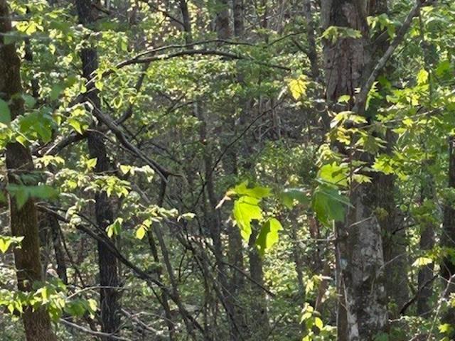 0 Oak Hill Dr, Nunnelly, TN 37137 | MLS #3165 | Compass