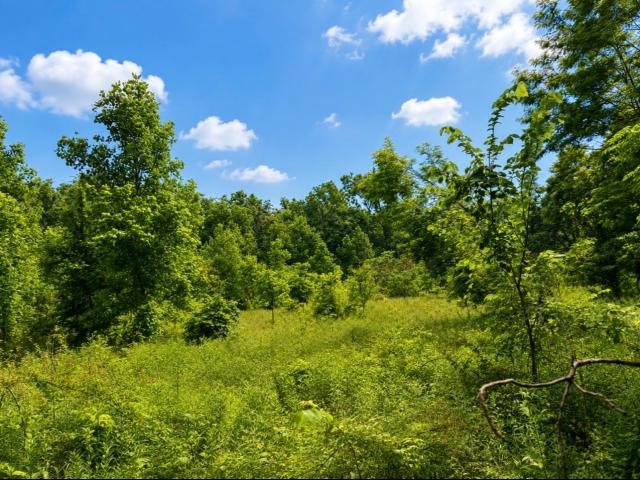 0 Oak Knob Road