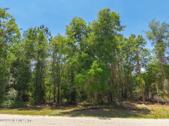 0 Oak Run Rd, Crescent City, FL 32112 | MLS #2118