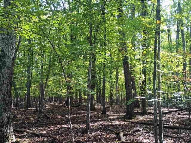 0 Oakcrest Ln, Nellysford, VA 22958 | MLS #671080