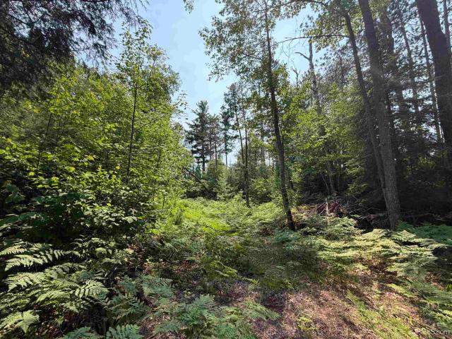 0 Off Granite Lake Rd