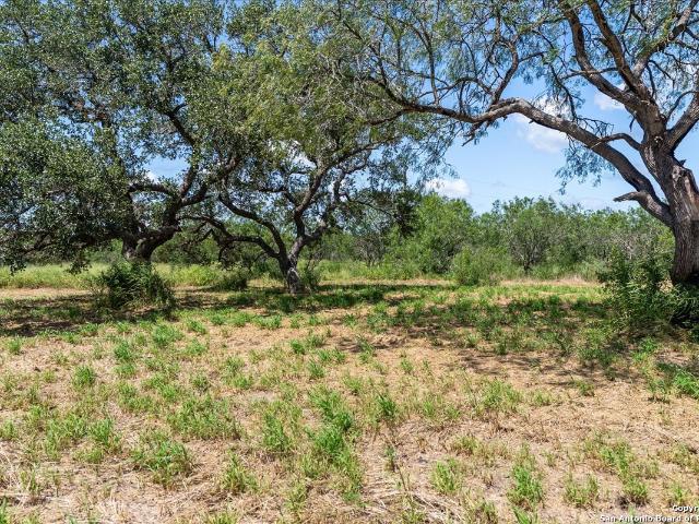 0 Off Hwy S, Skidmore, TX 78389 | MLS #464518 | Compass