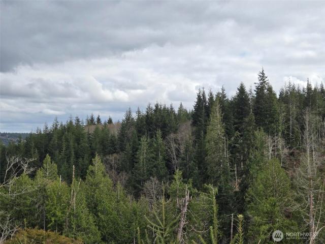 0 Off of Hoquiam Wishkah Road