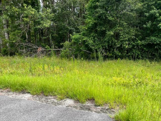 0 Oglethorpe East Highway
