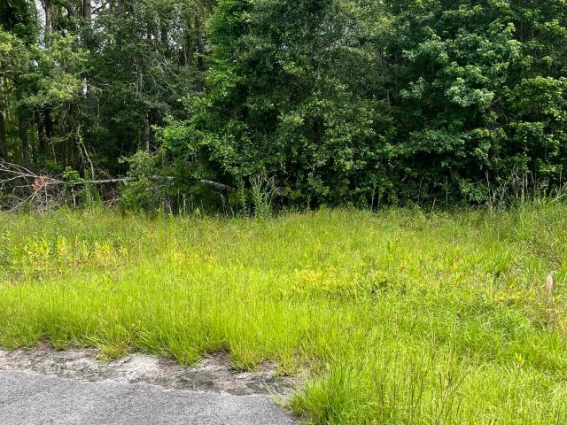 0 Oglethorpe Hwy, Midway, GA 31320 | MLS #10592