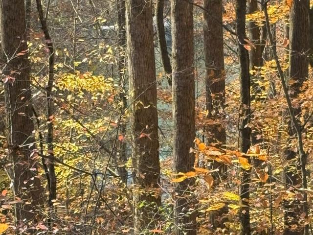 0 Old Tullahoma Rd