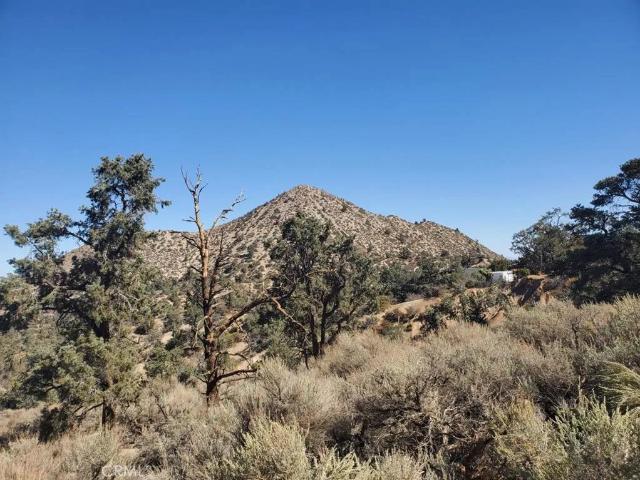 0 Old Valley Springs, Pinon Hills, CA 92372 | MLS #HD24168