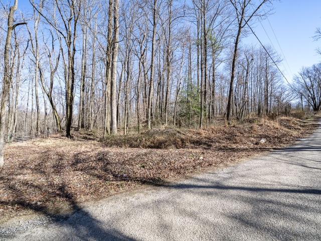 0 Old Altamont Rd