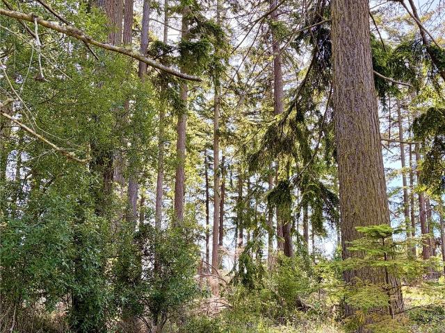 0 Old Cedar Lane