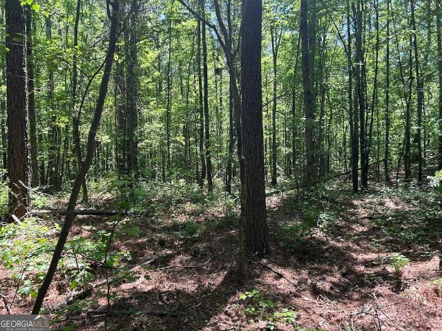0 Old Draketown Trail