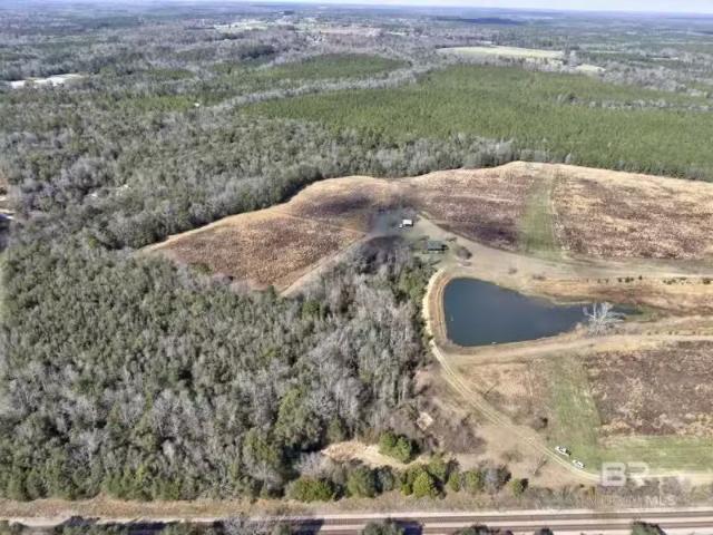 0 OLD FANNIE ROAD, FLOMATON, AL 36441 Vacant Land For Sale ML.