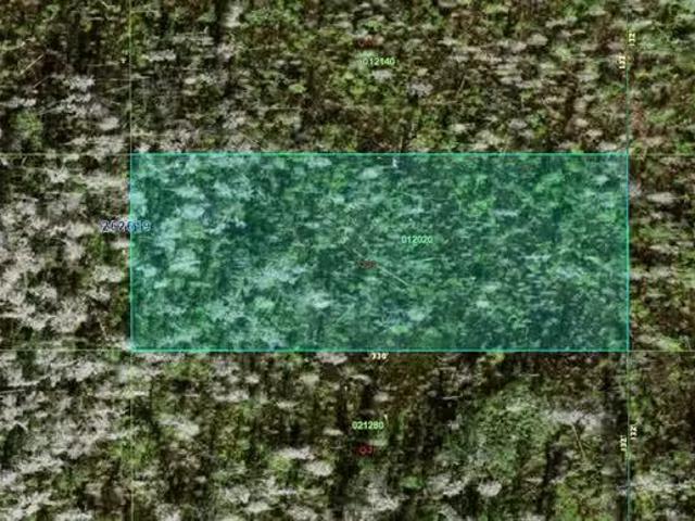 0 OLD GRADE ROAD, POLK CITY, FL 33868 Vacant Land For Sale ML.