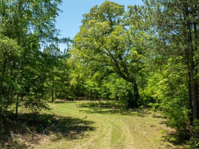 0 Old Griswoldville Rd