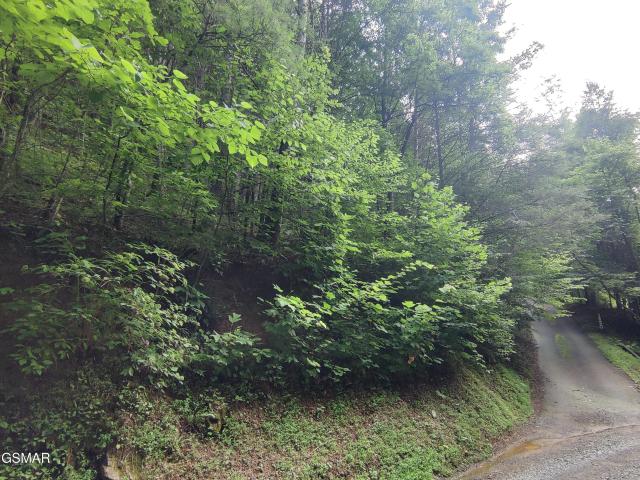 0 Old Hag Hollow Way