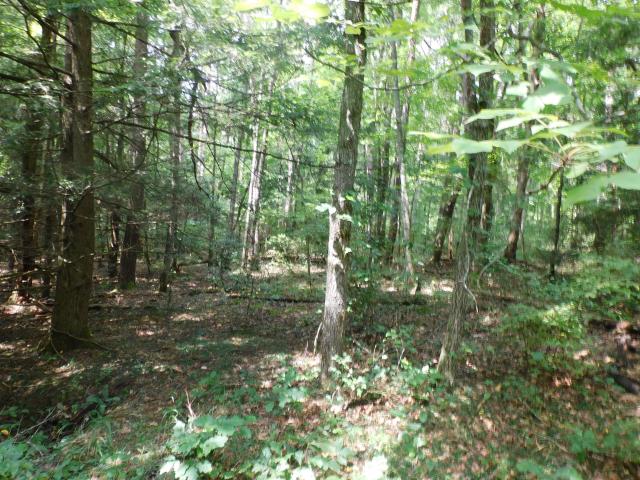 0 Old Highway 56