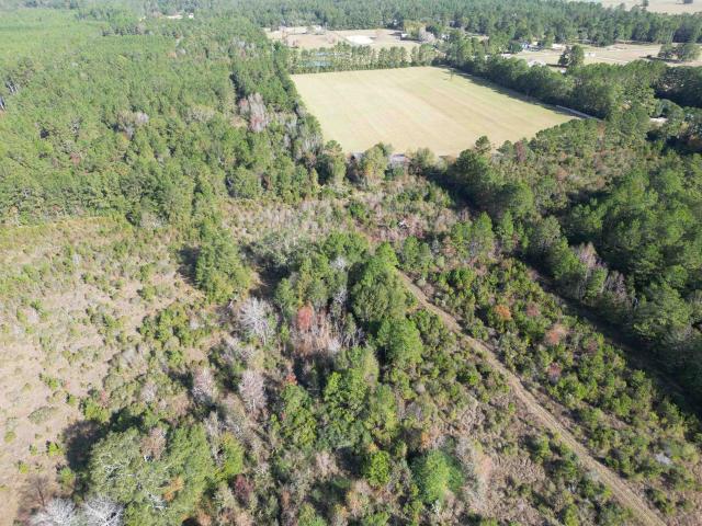 0 Old Honey Island Rd, Kountze, TX 77625 | MLS #263464