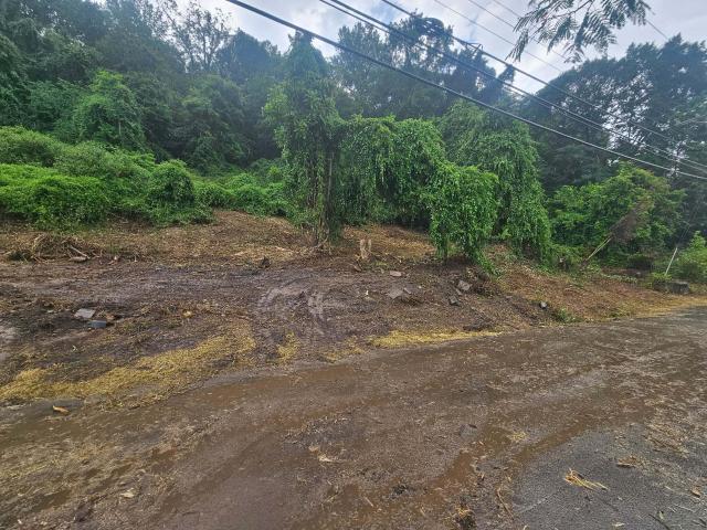0 Old Jasper Road