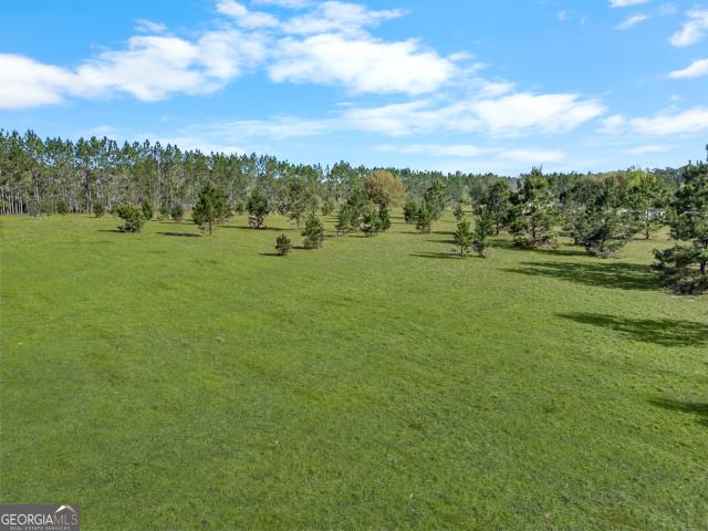 0 Old Louisville Rd, Guyton, GA 31312 | MLS #10726 | Compass